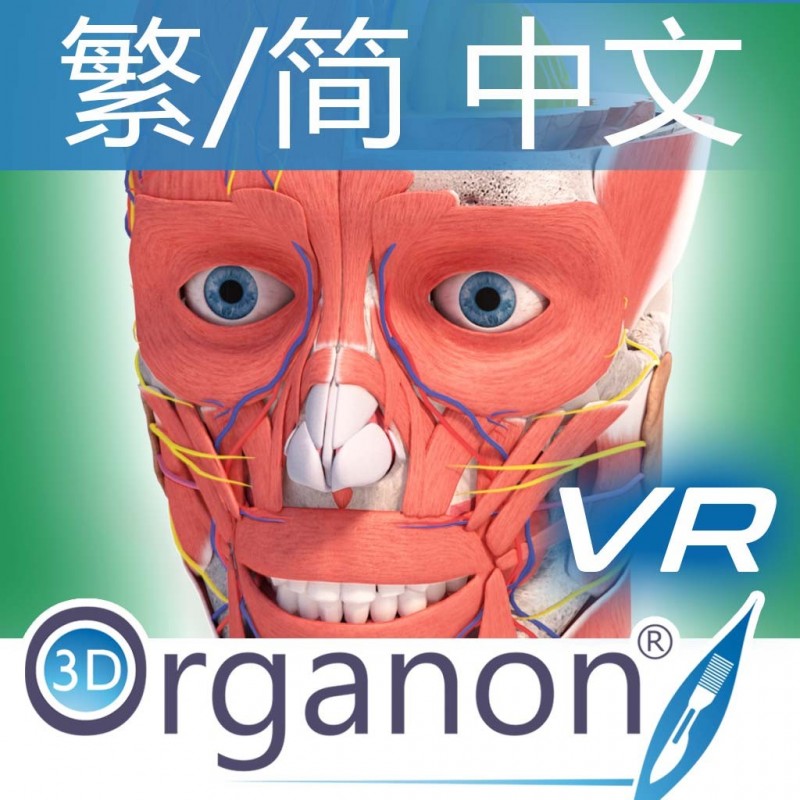 3D Organon XR | Premium | 繁/简 中文