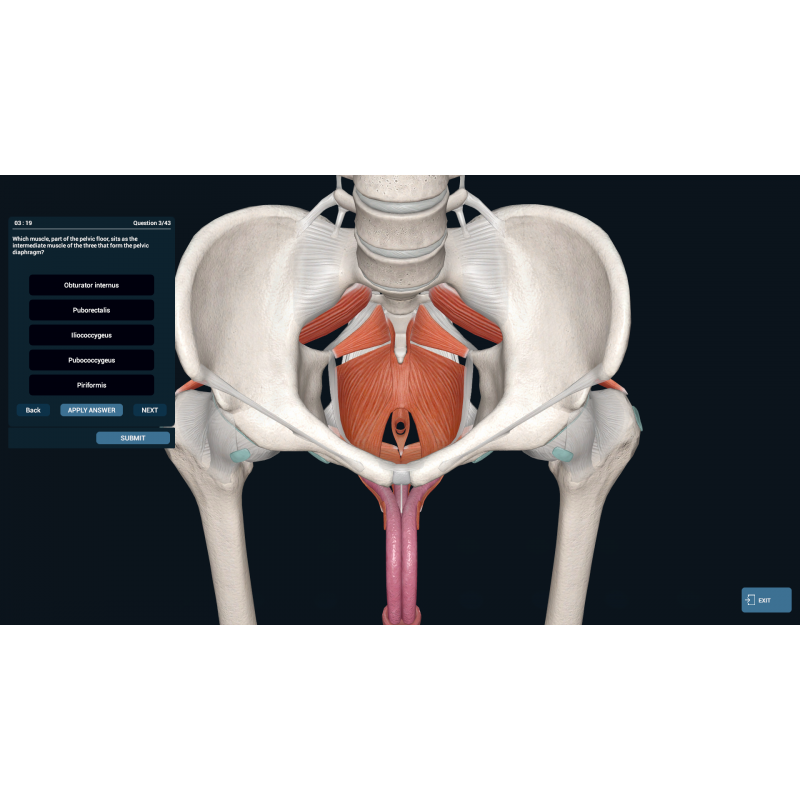 3D Organon Anatomy for Professionals