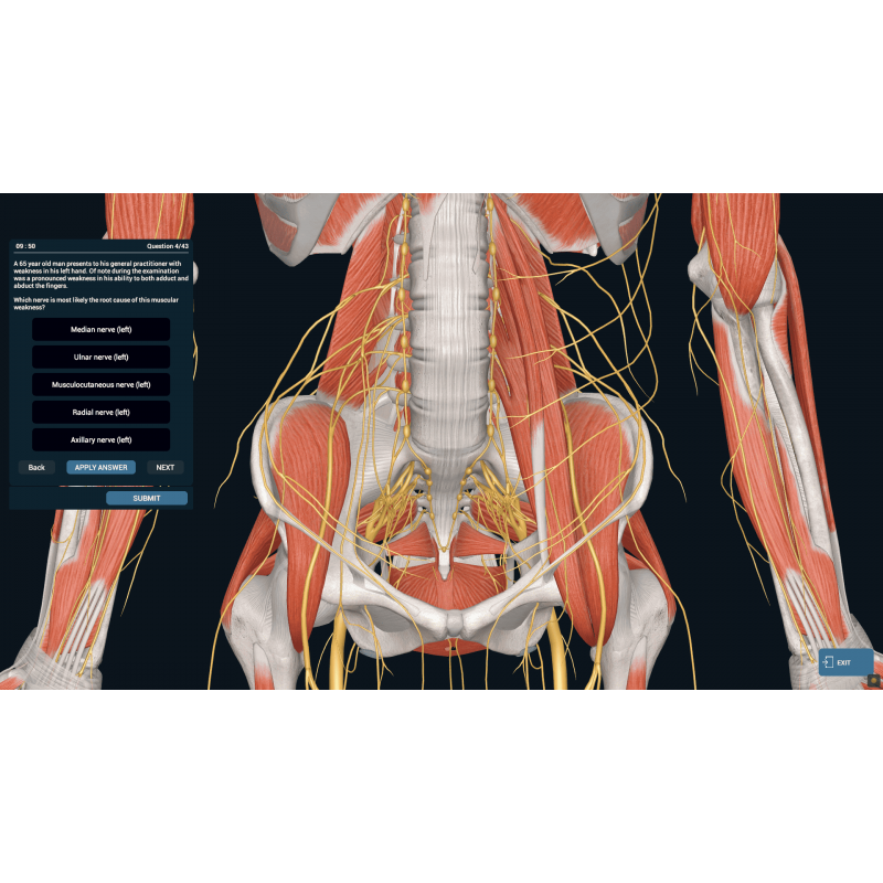3D Organon for Professionals