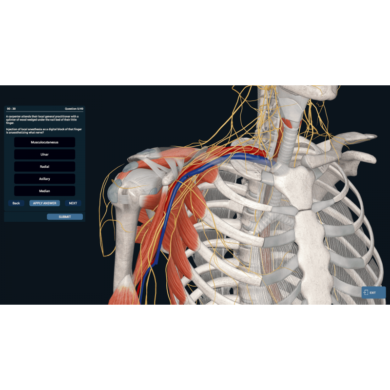 3D Organon Anatomy | Professional 3D Organon Anatomy | Professional