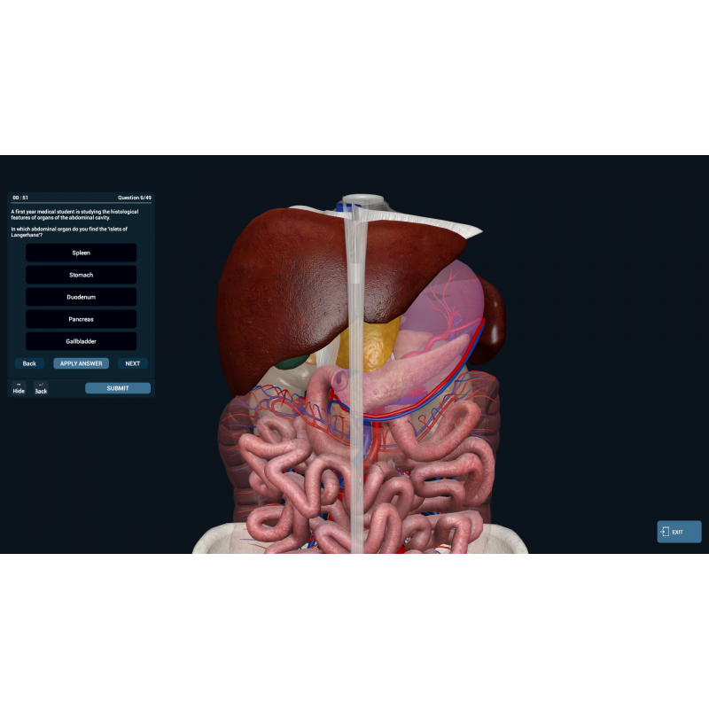3D Organon for your desktop | Standard