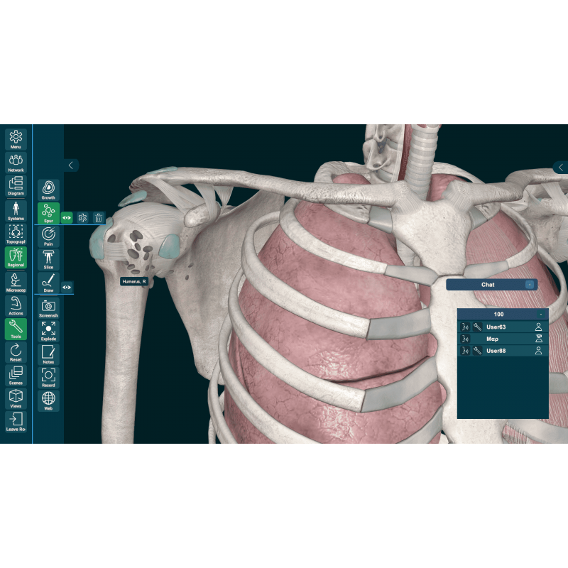 3D Organon for your desktop | Standard