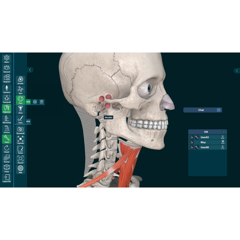 3D Organon for your desktop | Standard