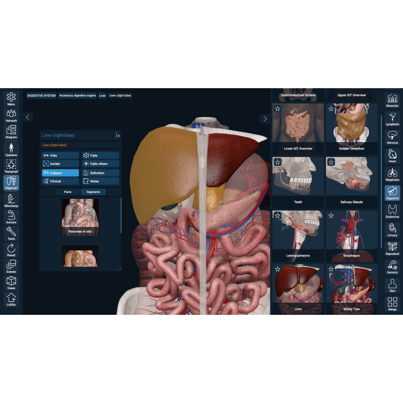 3D Organon VR Anatomy for your Standalone VR headset | Standard