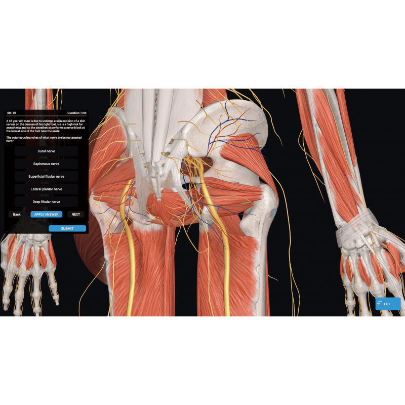 3D Organon VR Anatomy for your Standalone VR headset | Standard
