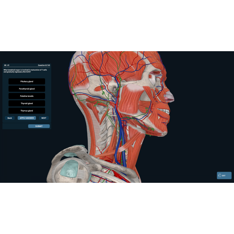 3D Organon for your mobile | Standard