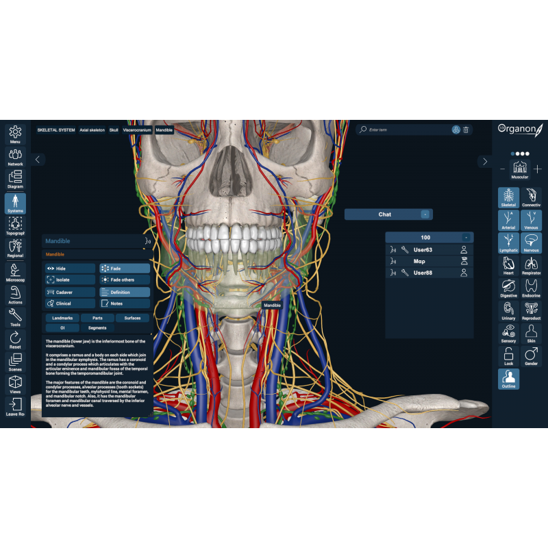 3D Organon VR Anatomy for your Standalone VR headset | Standard
