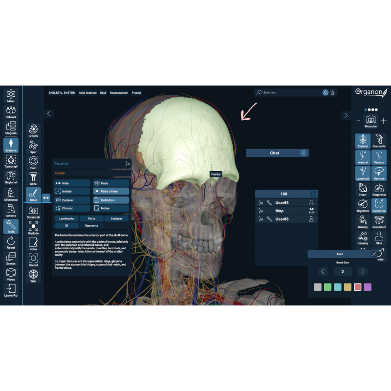 3D Organon VR Anatomy for your Standalone VR headset | Standard