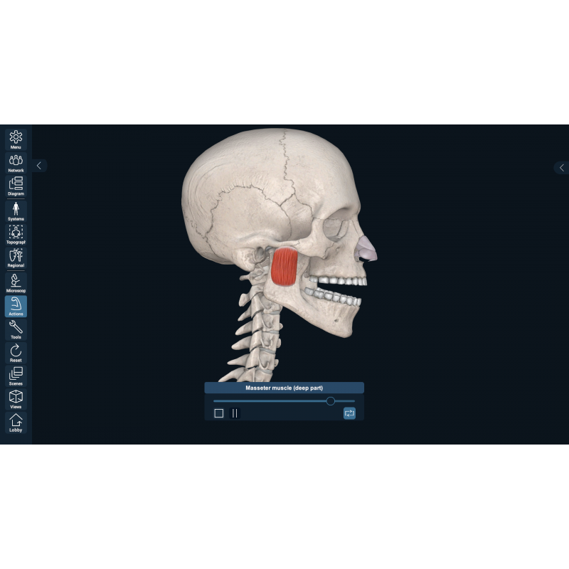3D Organon VR Anatomy for your Standalone VR headset | Standard