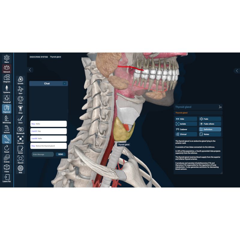 3D Organon for Students