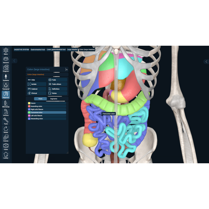 3D Organon for Students