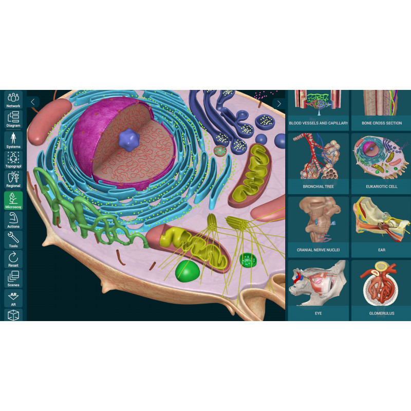 3D Organon for Students