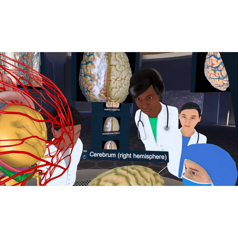 3D Organon VR Anatomy for your Standalone VR headset | Standard