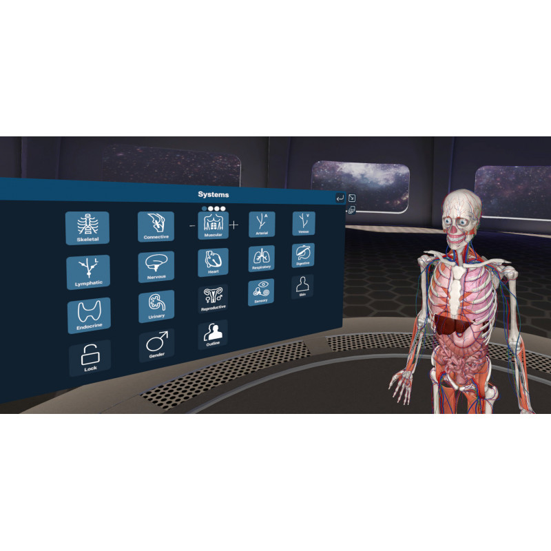 3D Organon VR Anatomy | Standard